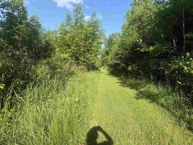 Maple St Lot,waltham, Plot For Sale