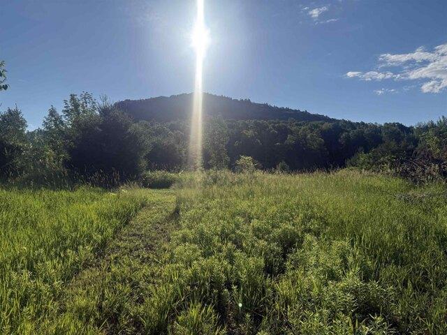 Maple St Lot,waltham, Plot For Sale