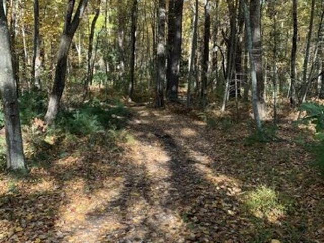 Maple St, Sherborn, Plot For Sale