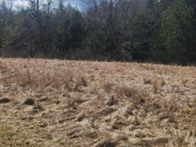 Maple Summit Rd Parcel 4, Shunk, PA 17768