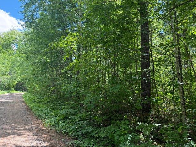 Maplestone Rd Lot 30, Minocqua, WI 54548