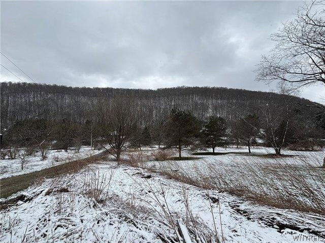 Maples Rd, Ellicottville, NY 14731