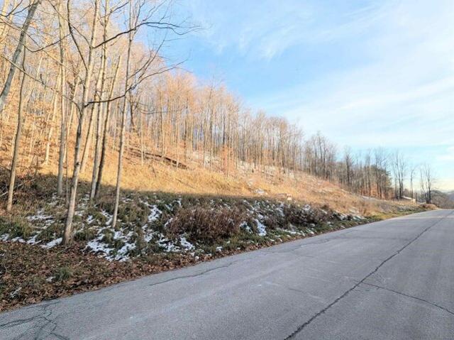 Maplewood Ave Lots And,barre, Plot For Sale