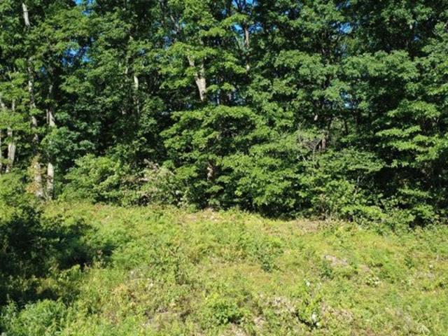 Maplewood Dr, Philipsburg, Plot For Sale