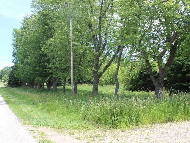 Maplewood lane