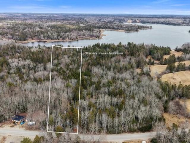 Maplot Gouldsboro Point Rd, Gouldsboro, Plot For Sale