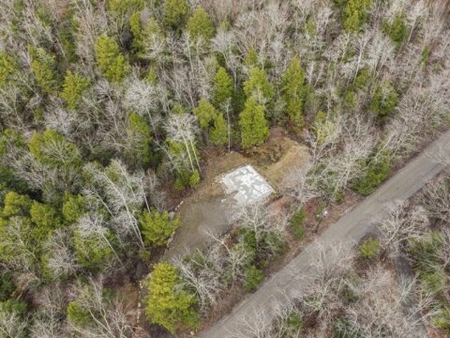 Maplot Kimball Pond Rd, Vienna, Plot For Sale