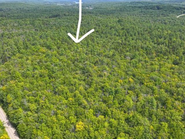 Maplot Merrill Rd, Lovell, Plot For Sale