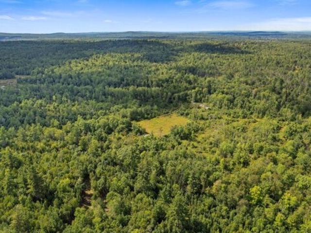 Maplot Partridge Rd, Hampden, Plot For Sale