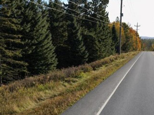 Maplot Presque Isle Rd, Ashland, Plot For Sale