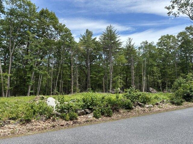 Maplot Round The Pond Rd, Norway, Plot For Sale