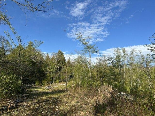 Maplot Wm Livermore Rd, Fayette, Plot For Sale