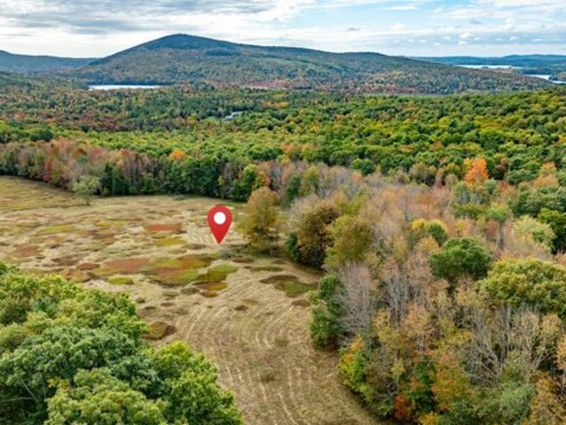 Maplot Upper Long Pond Rd, Bucksport, Plot For Sale