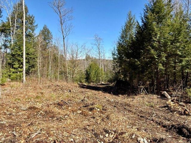 Maplotb Buckfield Rd, Paris, Plot For Sale