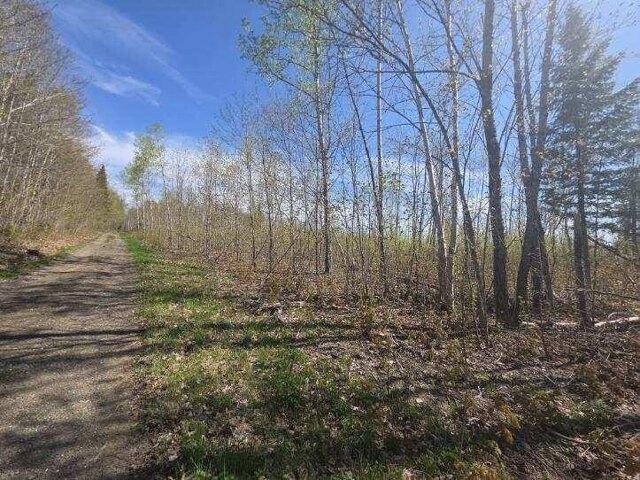 Maplotb Conroy Rd, Perham, Plot For Sale