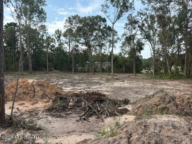 Martin Bluff Road, Gautier, MS 39553