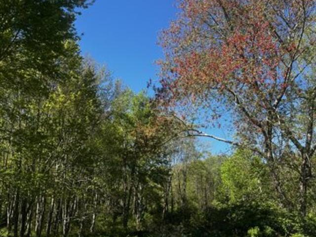 Martin Rd, Hebron, Plot For Sale