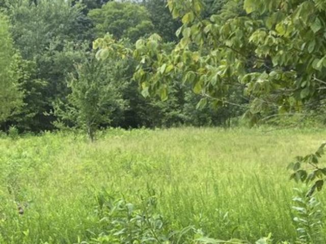Martin Rd, Portland, TN 37148