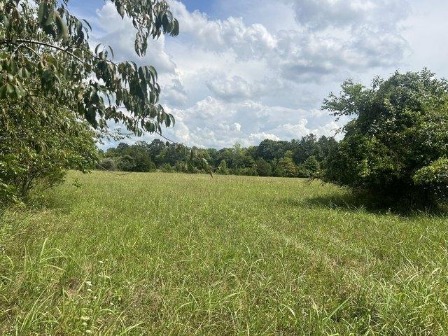 Martin Rd, Portland, TN 37148