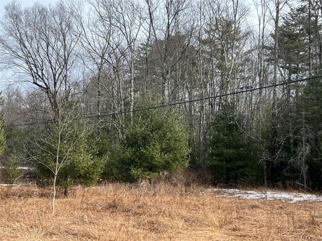 Martinfeld Rd, Greenfield Park, NY 12435 | MLS #834723
