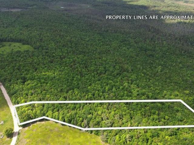 Martins Ridge Rd Lot 1, Franklin, ME 04634