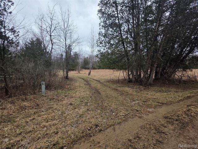 Martus Rd, North Branch, MI 48446