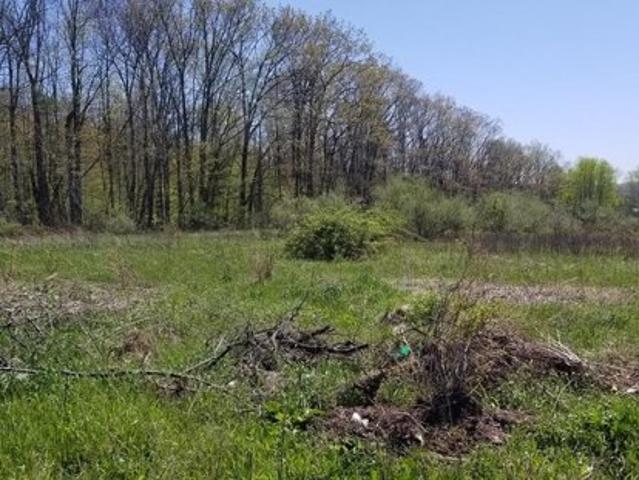 Mary Mac Rd, Towanda, Plot For Sale