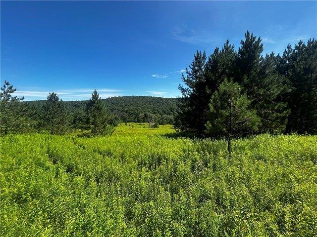 Mary Brown Hill Rd, Laurens, NY 13796