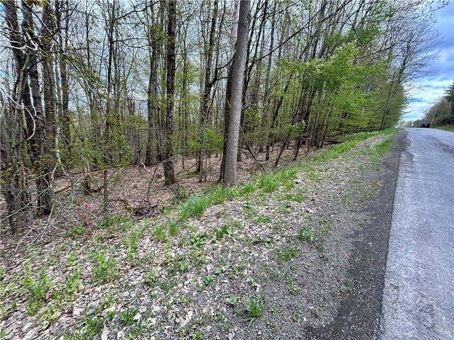 Mary Brown Hill Rd, Laurens, NY 13796