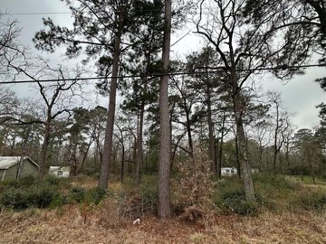 Mary Dr, Huntsville, TX 77320