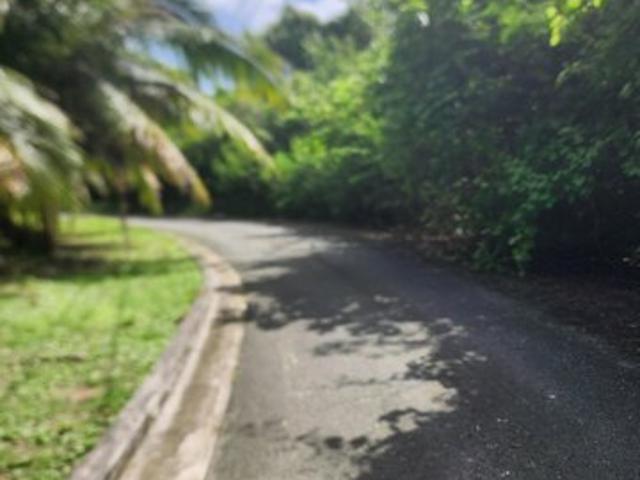 Marys Fancy Qu, Saint Croix, Plot For Sale