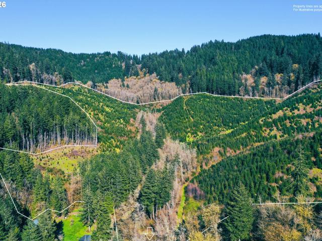 Marys Peak RD # TL501