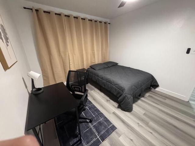 Be the first to live in this Newly Renovated & Furnished Home in Maryville one minute walk to the bus stop washer & dryer workspace closet in every bedroom 2X a month cleaning