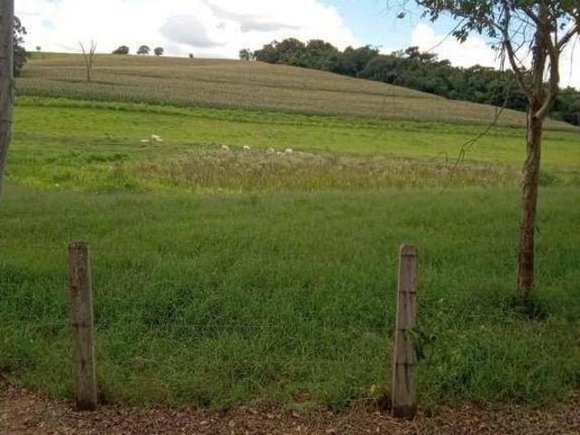 Maravilhosa fazenda a venda em Monte Sião/MG, com 291 alqueires, córregos, nascentes, lagos. Aprovei