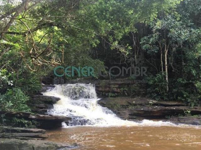 Maravilhosa Fazenda de 100 ha com Imponente Sede Centenária em Oportunidade