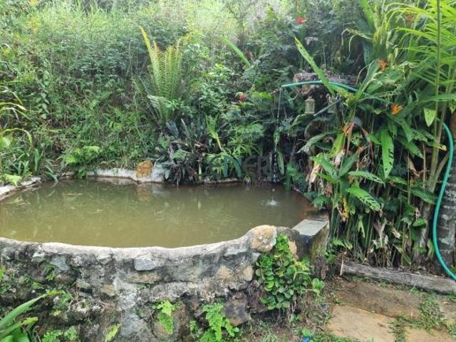 Maravilhosa fazenda de 67 ha na região de Juiz de Fora MG