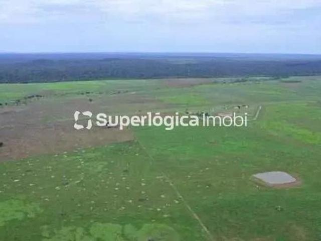 Maravilhosa Fazenda 34.000Ha com 5.850 aberto, preço muito abaixo do praticado no mercado, localizaç