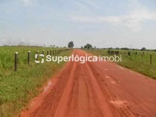 Maravilhosa Fazenda 34.000Ha com 5.850 aberto, preço muito abaixo do praticado no mercado, localizaç