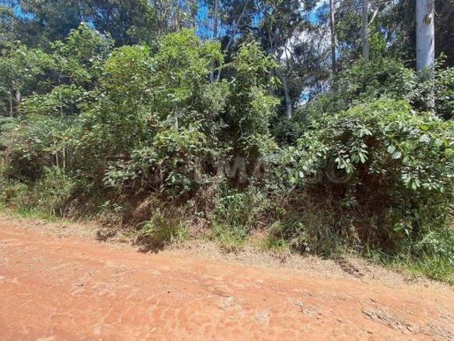 Maravilhoso terreno de 4.727 m² próximo da represa!