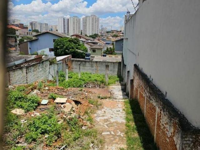 Maravilhoso Terreno