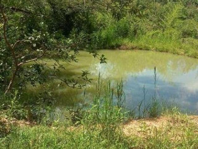 Maravilhoso sítio à venda na divisa de Monte Sião e Jacutinga, com 10 alqueires paulista, 5 tanques