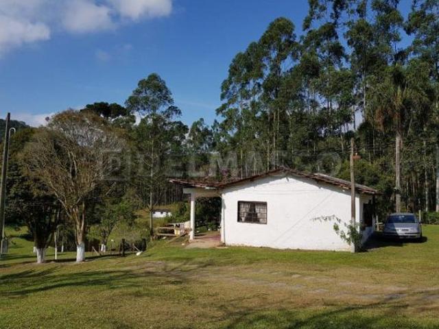 Maravilhoso Sítio com água em abundância!