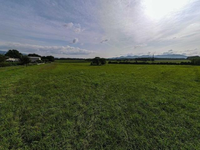 Marcus St, Shenandoah, VA 22849
