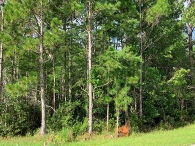 Mardi Gras St, Orlando, Plot For Sale