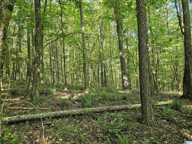 Mardis Ln Lot 0, Springville, AL 35146