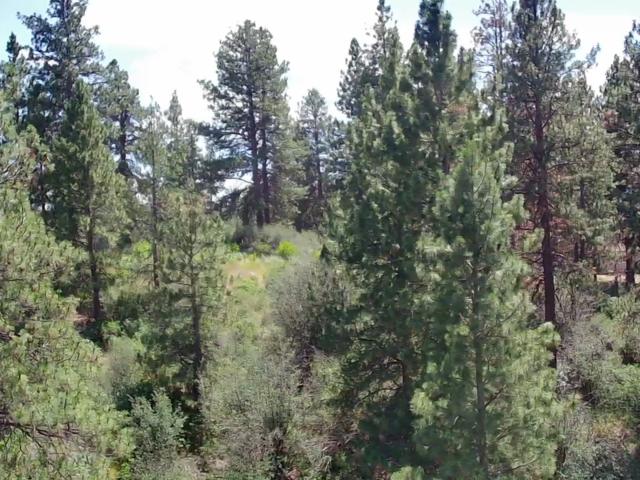 Margi Way, Unit 8, Chiloquin, OR 97624 | MLS #745749