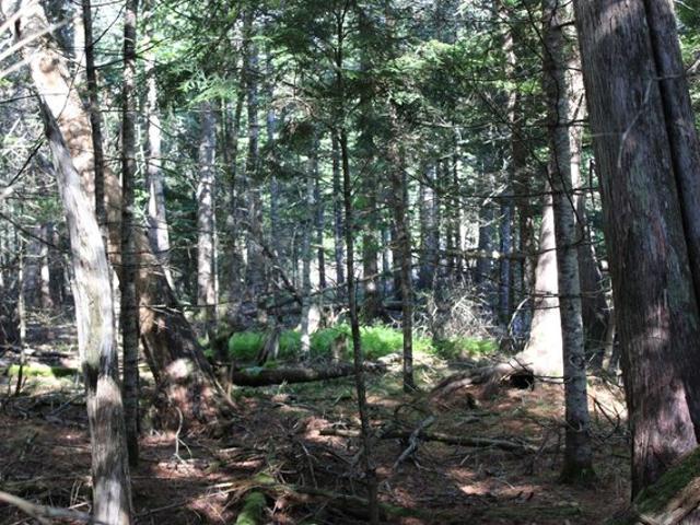 Mariaville Rd, Mariaville, ME 04605