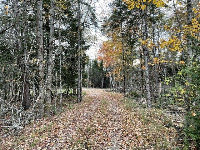 Mariaville Rd, Mariaville, Plot For Sale