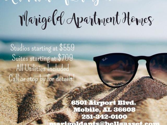 Marigold Apartments 1 Bedroom Apartment for Rent at 6501 Airport Blvd, Mobile, AL 36608 Thornhill
