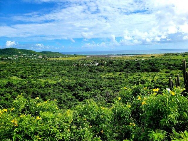 Marienhoj Ea, Saint Croix, Plot For Sale